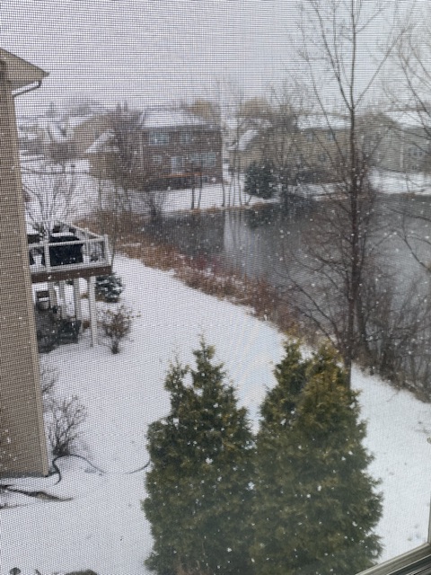 Vårtecken…? Jo, men visst! – Från andra sidan Potten